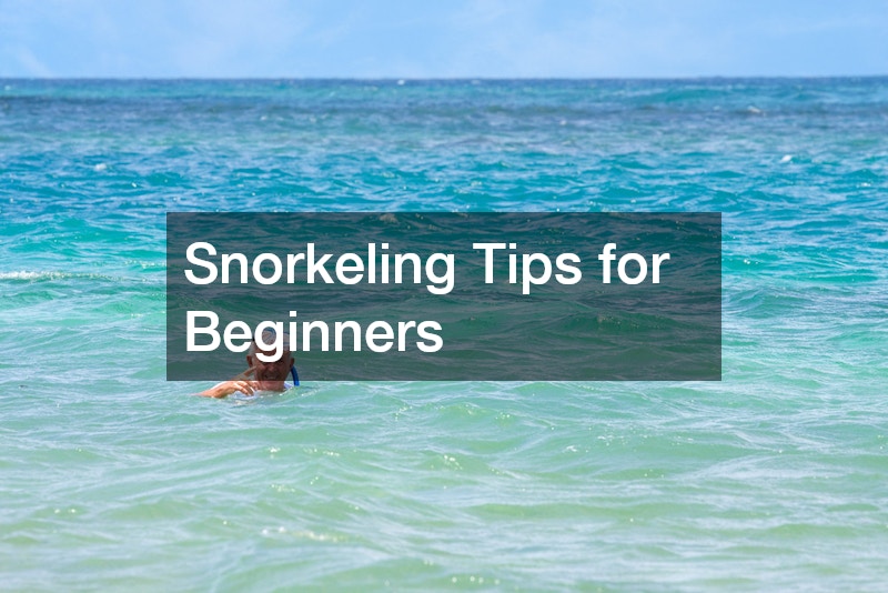 Snorkeling Tips for Beginners - Bed & Breakfast Inn